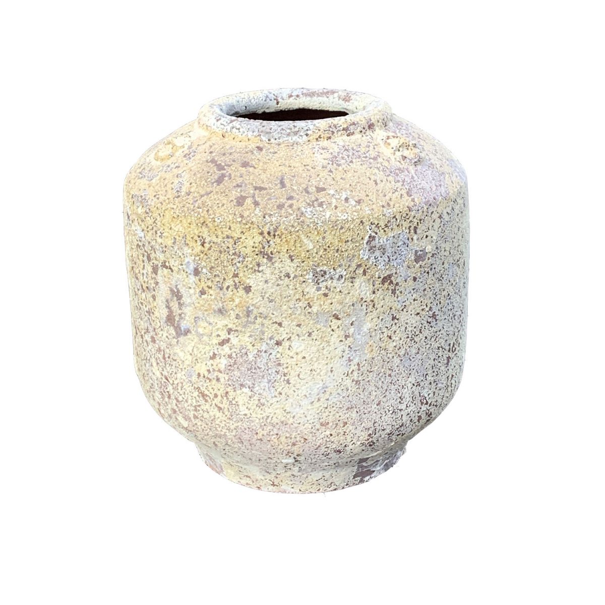 Atlantis Well Jar - Tiny Gardens